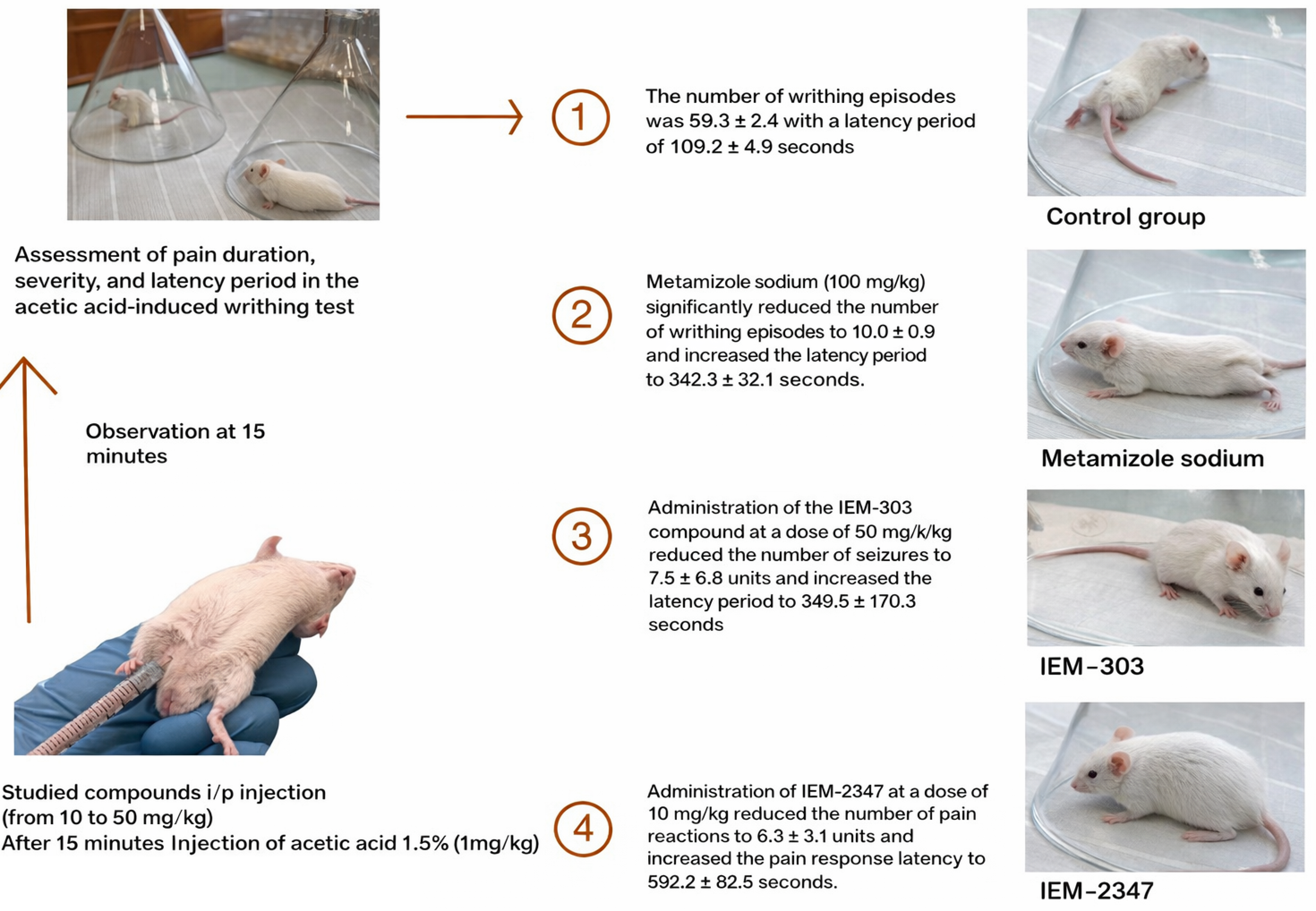 Investigation of imidazole-4,5-dicarboxylic acid derivatives activity ...